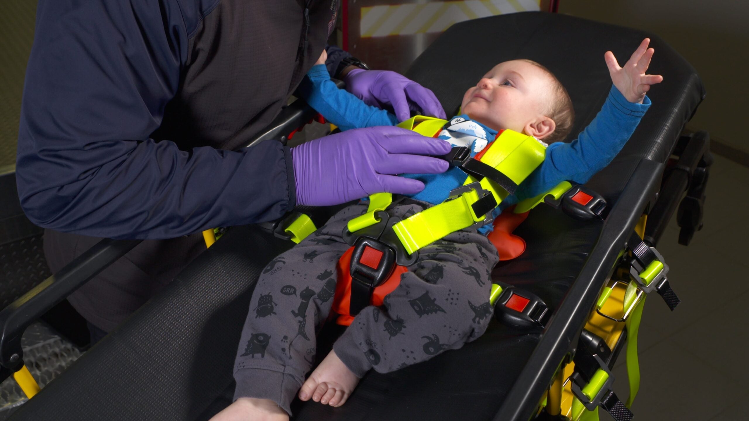 Transport and Restraints – Savvik Store